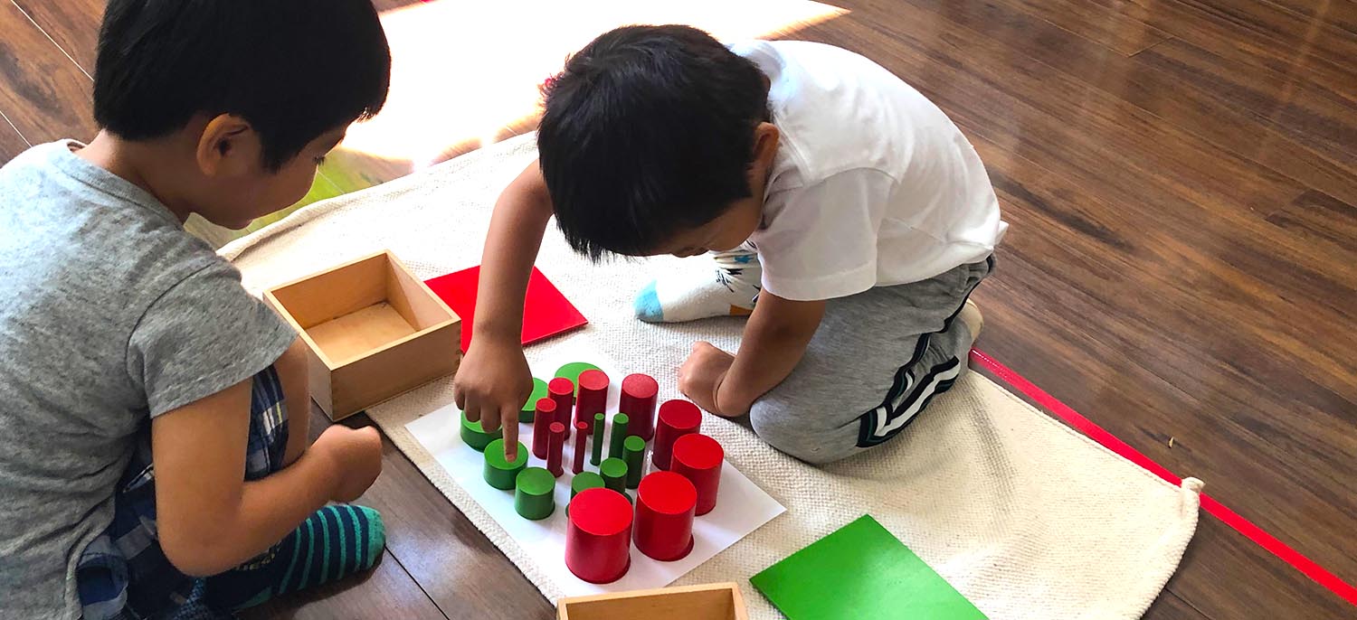 Knobless Cylinders - The School of Montessori