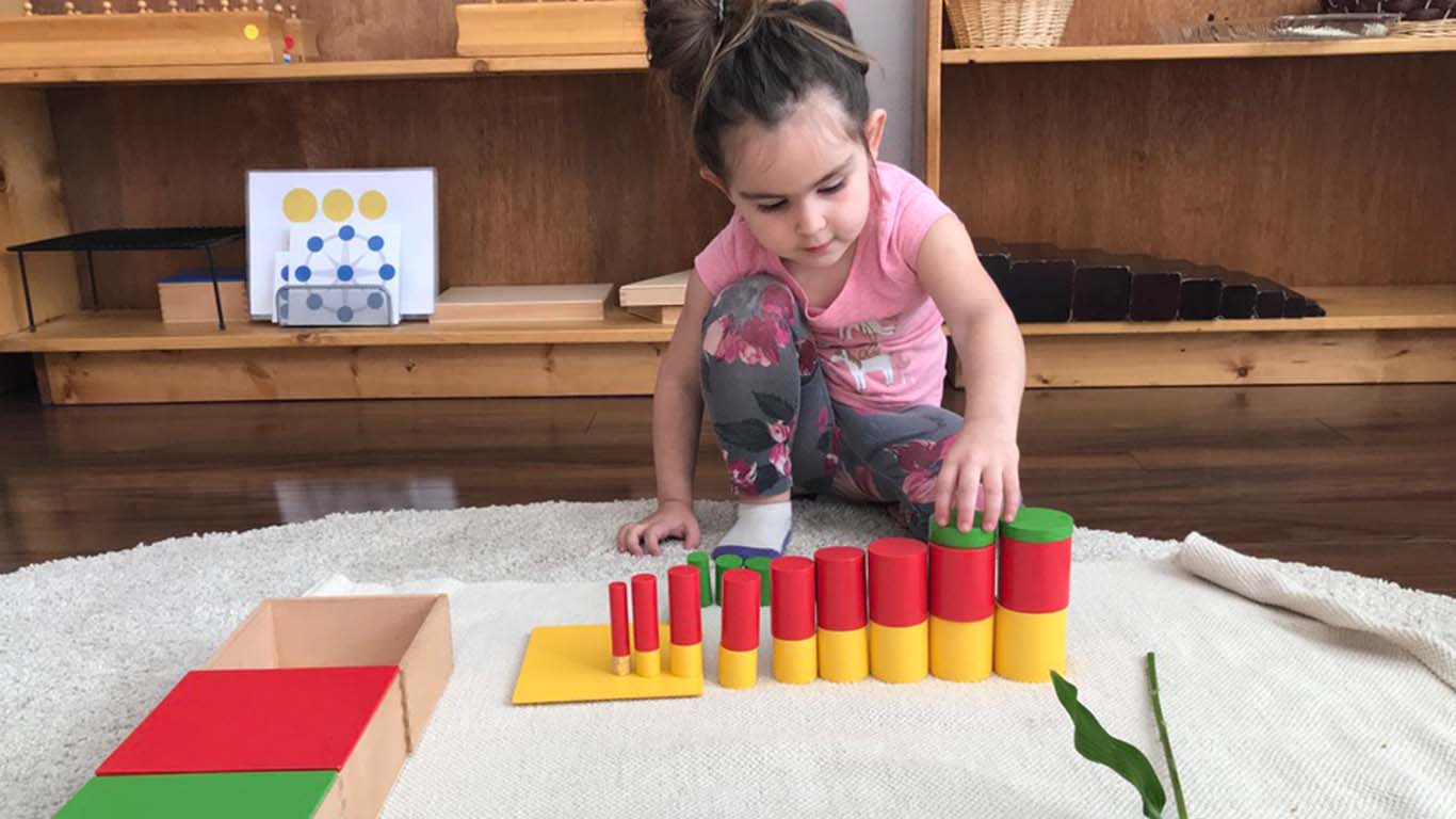 Knobless Cylinders - The School of Montessori